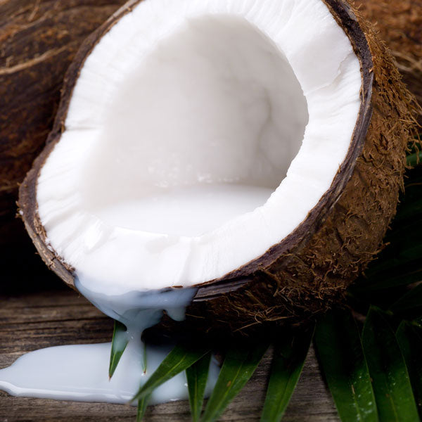 Buy Coconut Cream - Top Note Fragrance Oil Online | Candle Supply