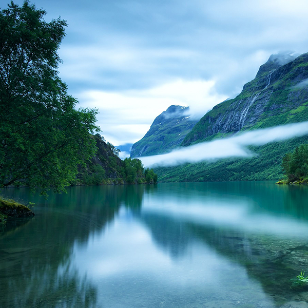 Buy Nordic Fresh - Fragrance Oil Online | Candle Supply